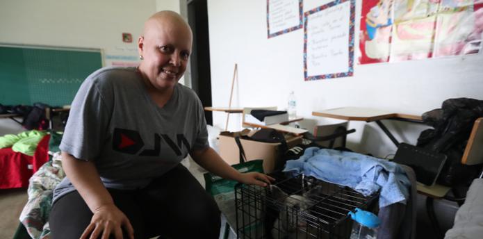 Veterinarios exhortan tener al día el kit de emergencias para mascotas ...