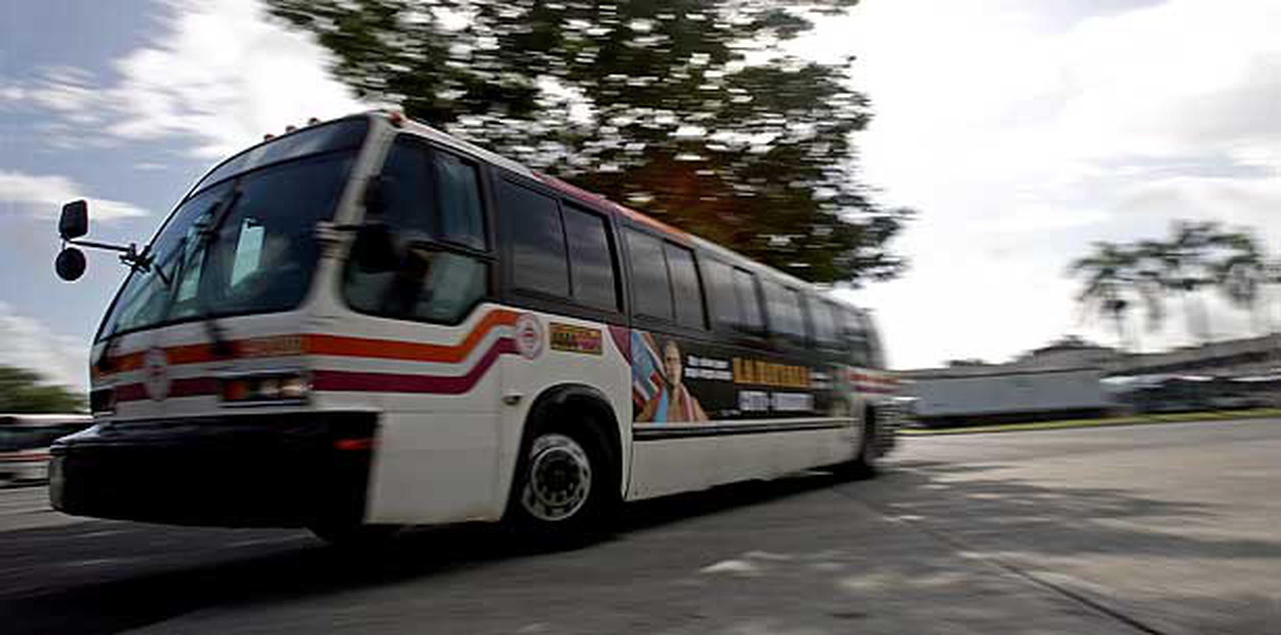 Conductores de la AMA son responsables por tener la licencia al día ...