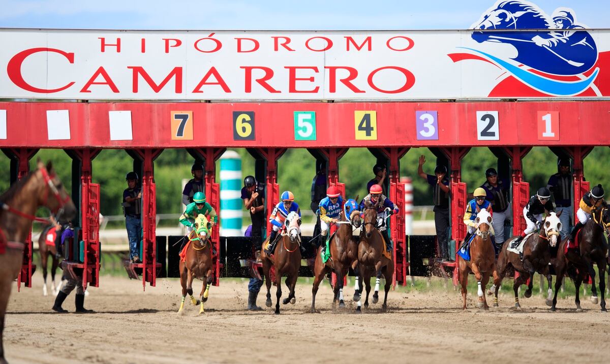 Hay carreras y trabajo en el hipódromo Camarero - Primera Hora