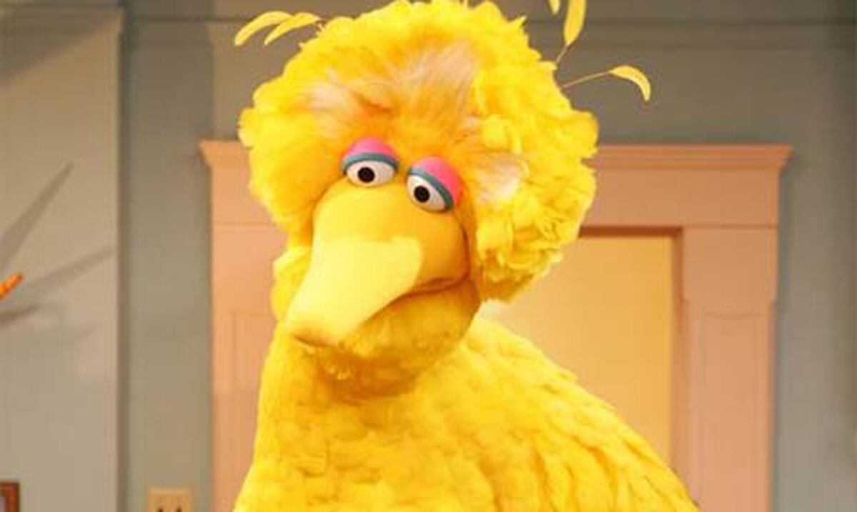 ¡Dejen a “Big Bird" en paz! - Opinión - Primera Hora