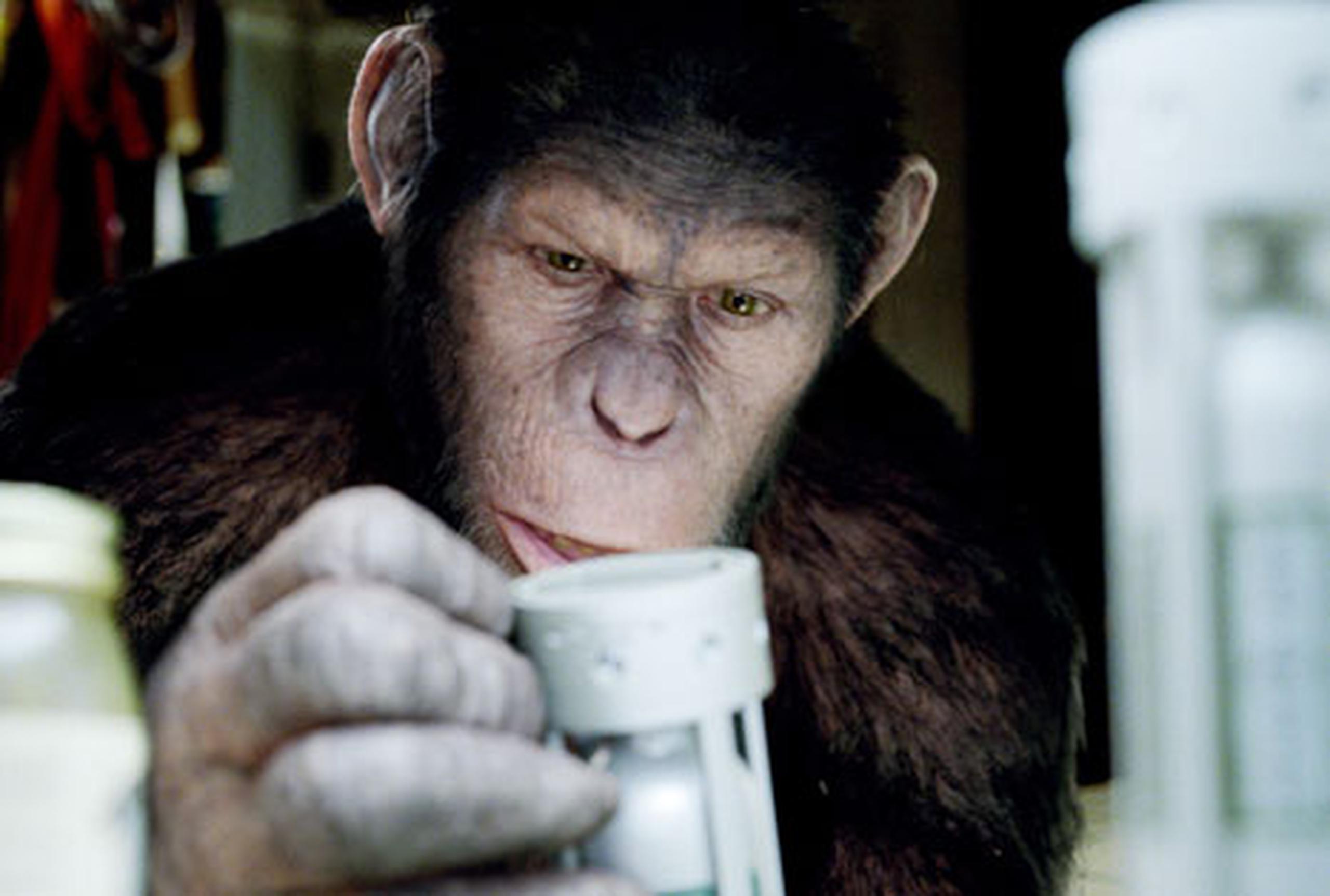 "Rise of the Planet of the Apes" alcanza primer lugar en taquillas ...