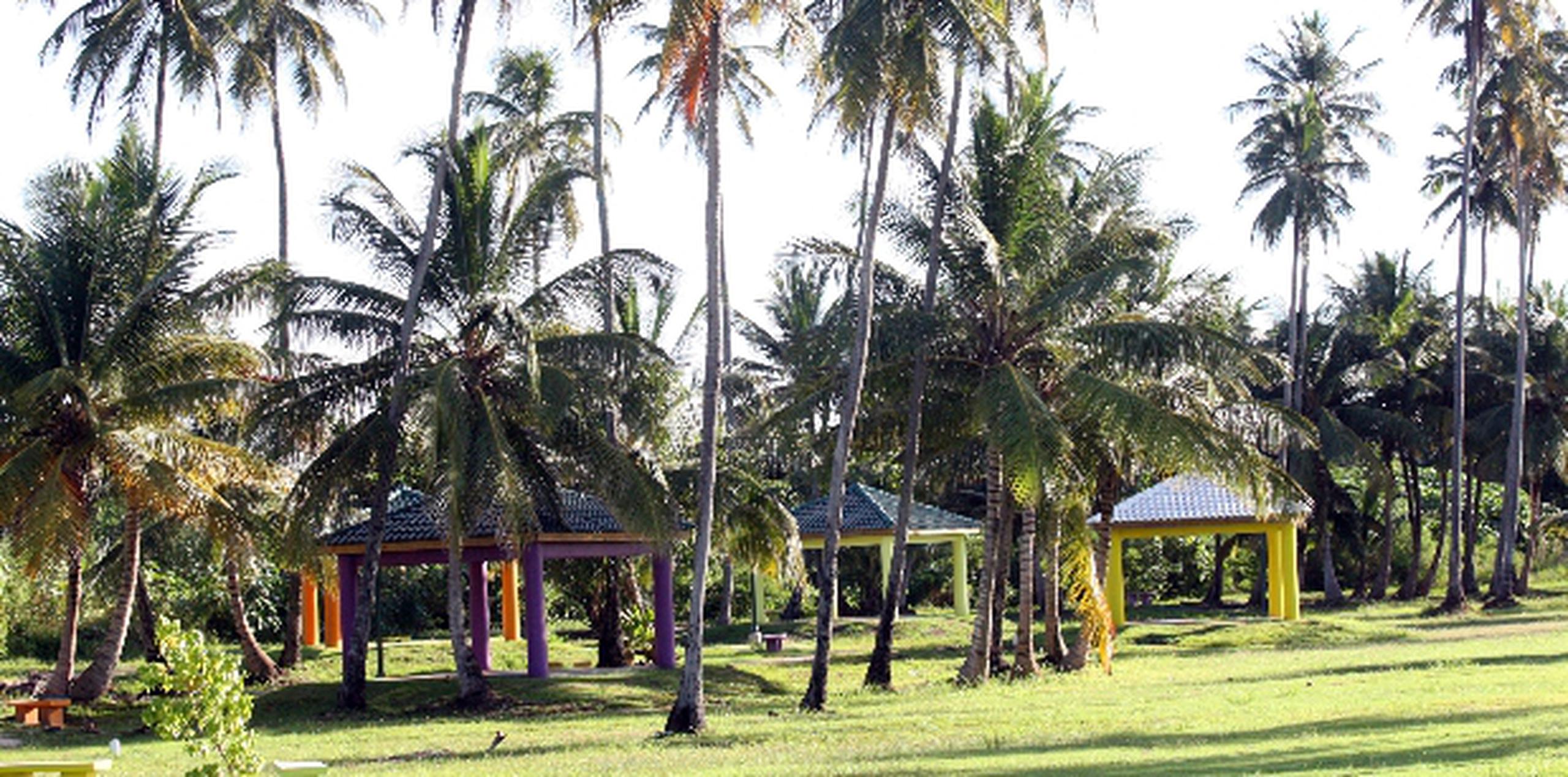 Para enero listo el Gran Parque del Norte - Primera Hora