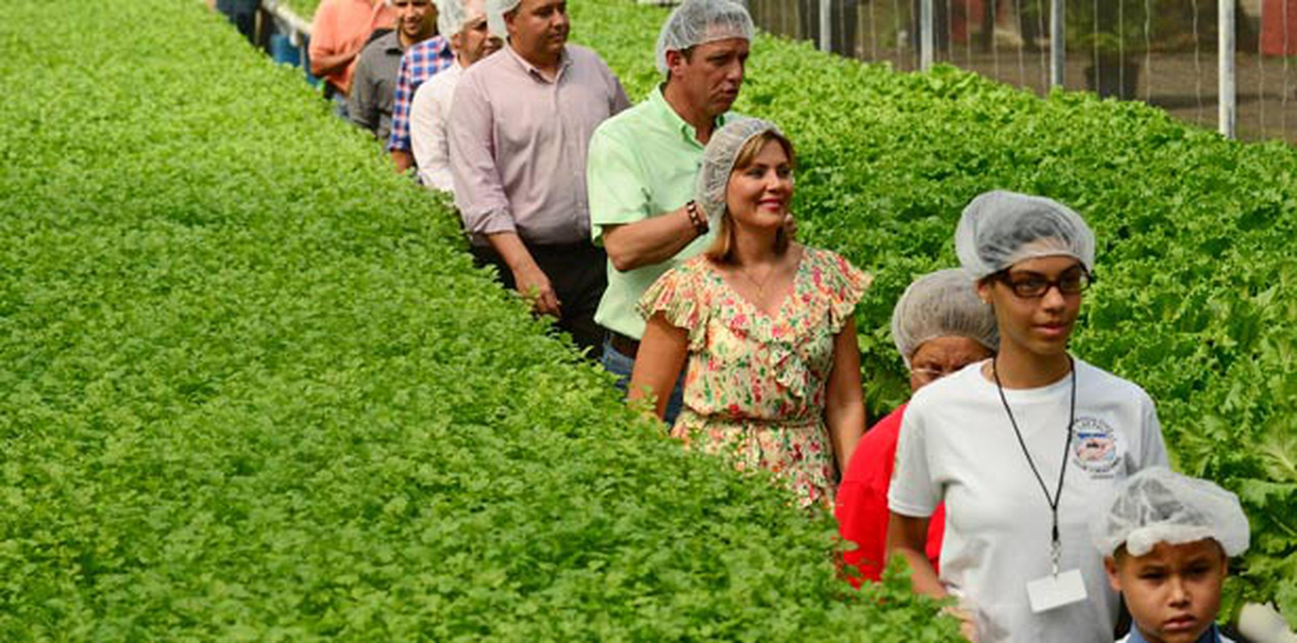 Rinde frutos el residencial Las Palmas de Coamo - Primera Hora