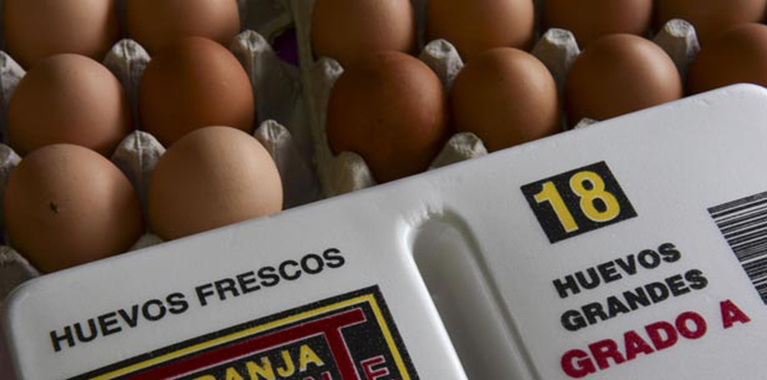 Buscan salvar el huevo del País - Primera Hora