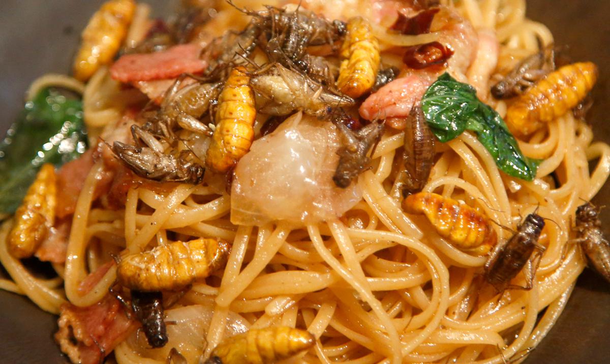 Los insectos se vuelven comida gourmet en Tailandia - Primera Hora