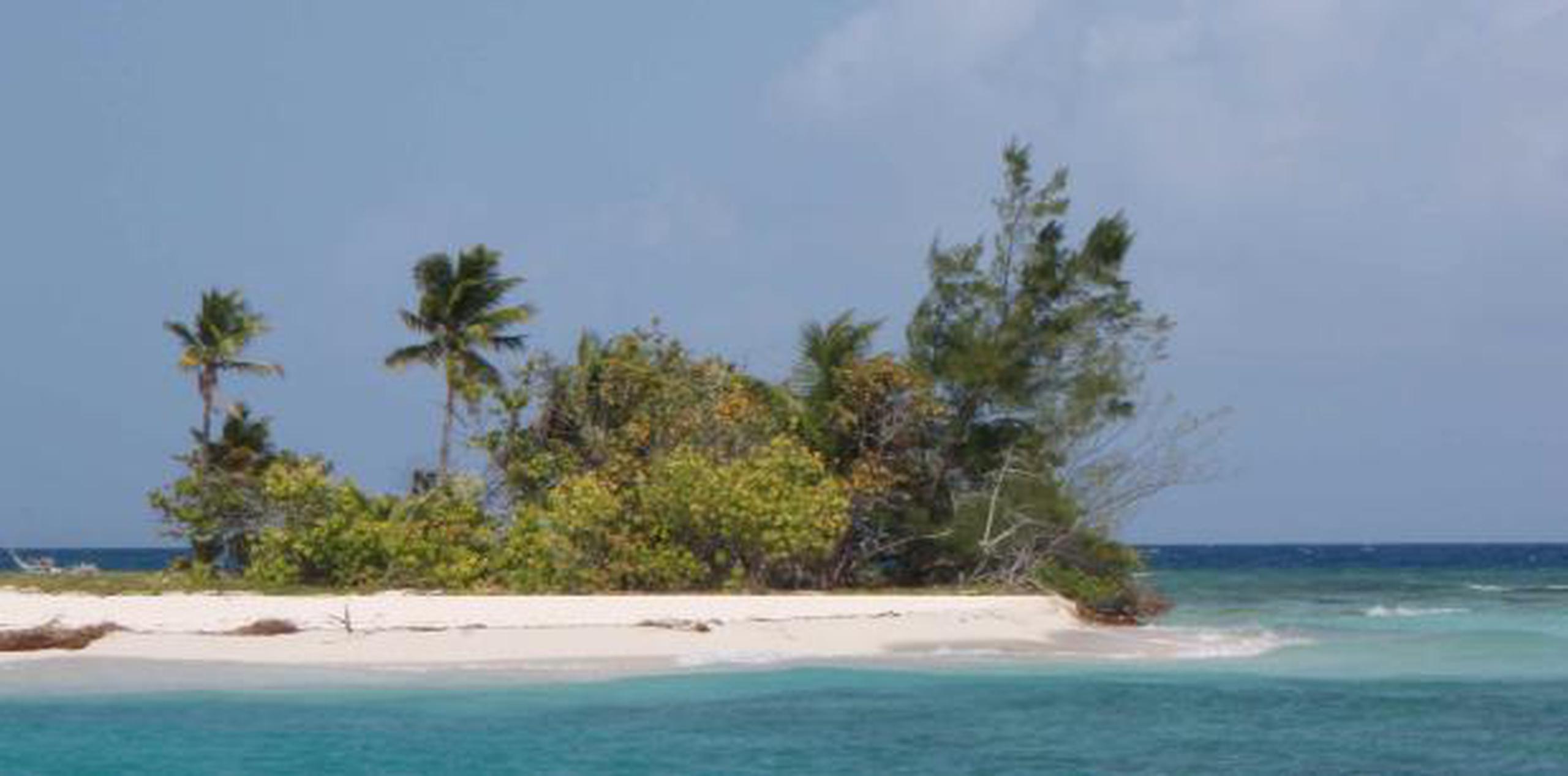 Palominito va en camino a convertirse en historia - Primera Hora